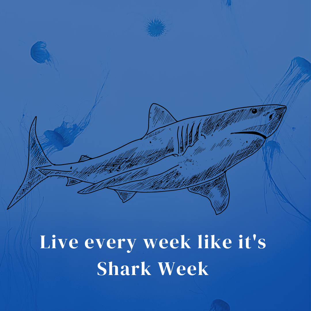 Shark Week — Wandering Raccoon Books
